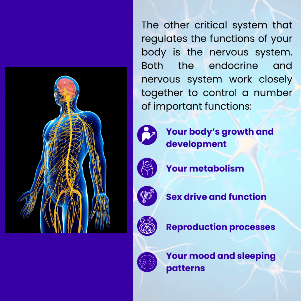 Hormones and Hormone Level Testing | Citikliniken Labs